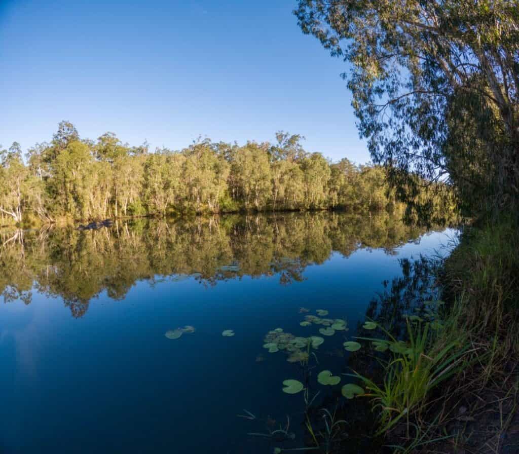 Blencoe Falls; Queensland's best?