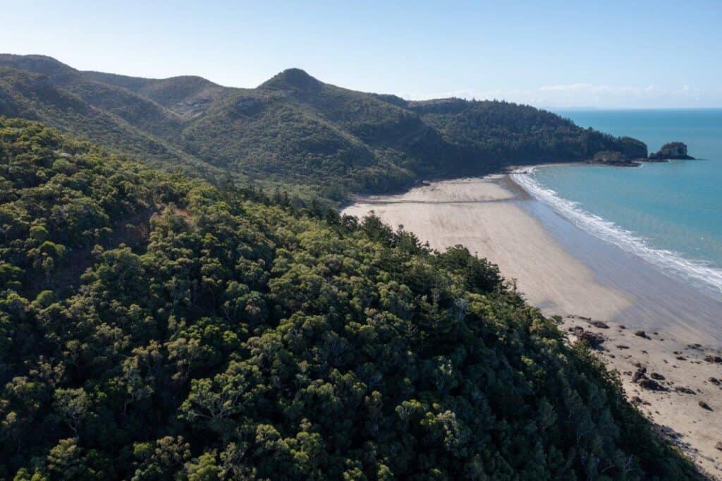Ball Bay, Cape Hillsborough National Park