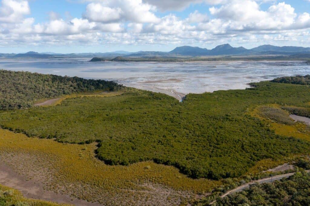 Ball Bay, Cape Hillsborough National Park