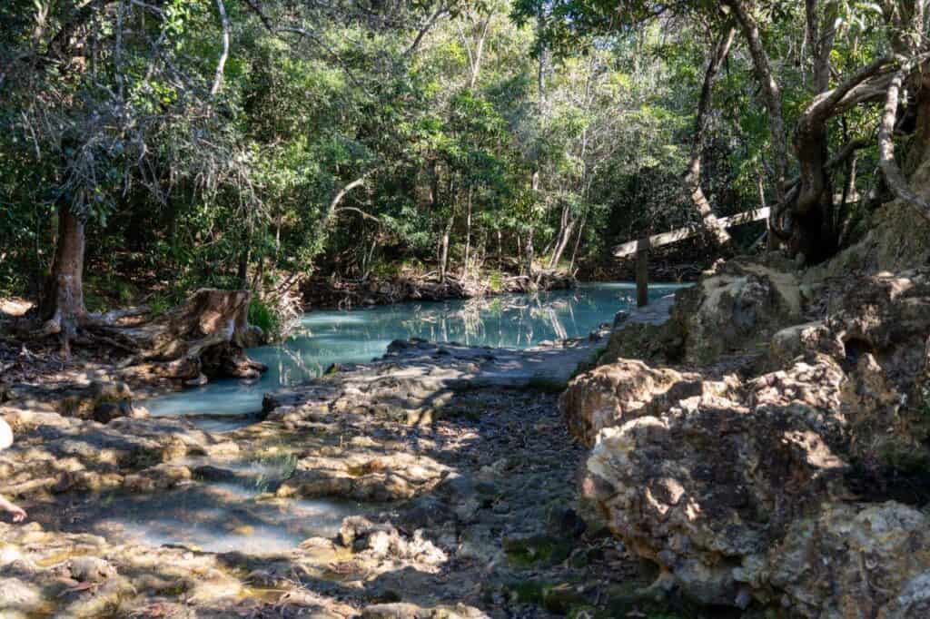 Cardwell Spa Pools; unique and stunning
