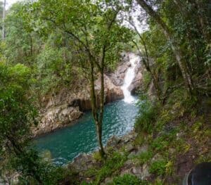 Finch Hatton Gorge; our favourite Queensland walk so far