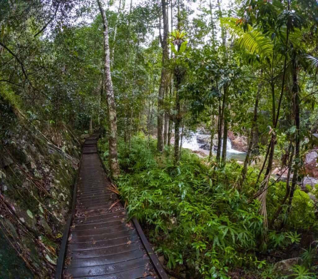 Finch Hatton Gorge; our favourite Queensland walk so far