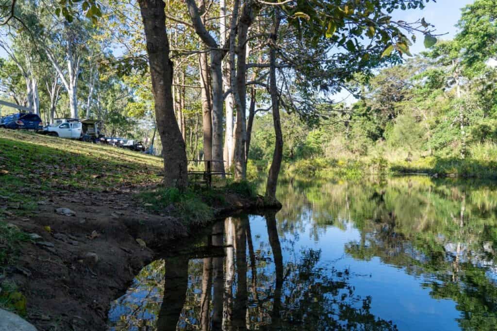 Emu Creek Camping in the Benarkin State Forest