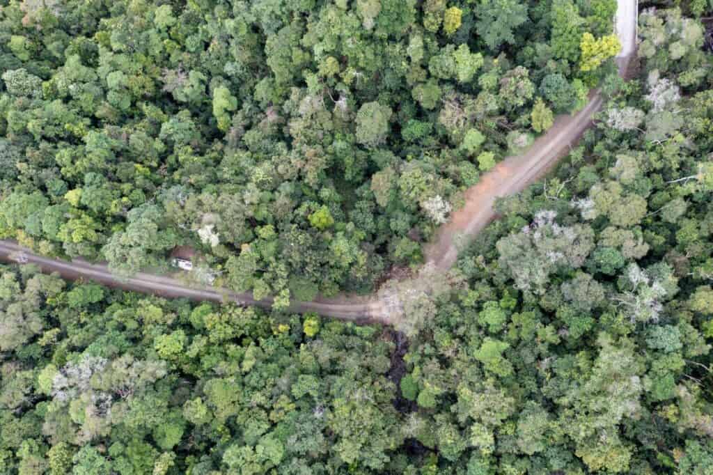 Blencoe Falls; Queensland's best?