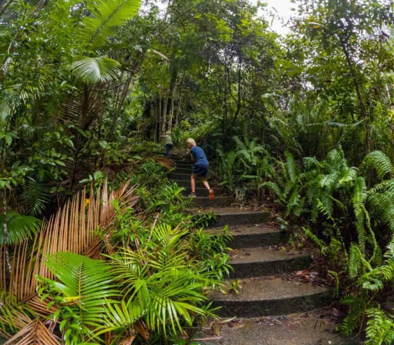 Finch Hatton Gorge; our favourite Queensland walk so far