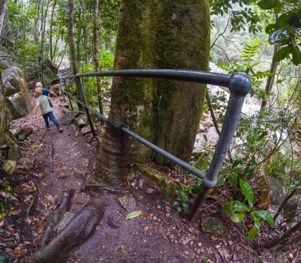 Finch Hatton Gorge; our favourite Queensland walk so far