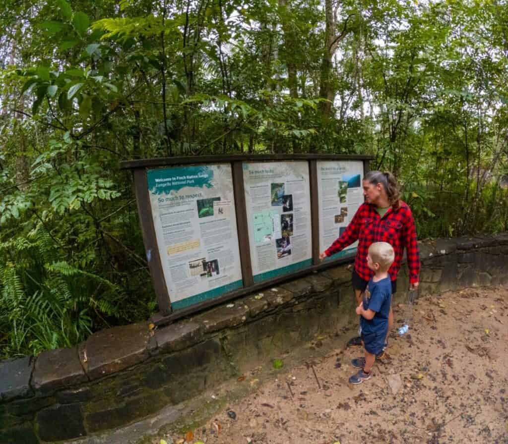 Finch Hatton Gorge; our favourite Queensland walk so far