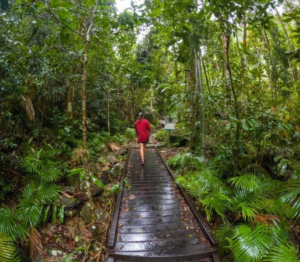 Finch Hatton Gorge; our favourite Queensland walk so far