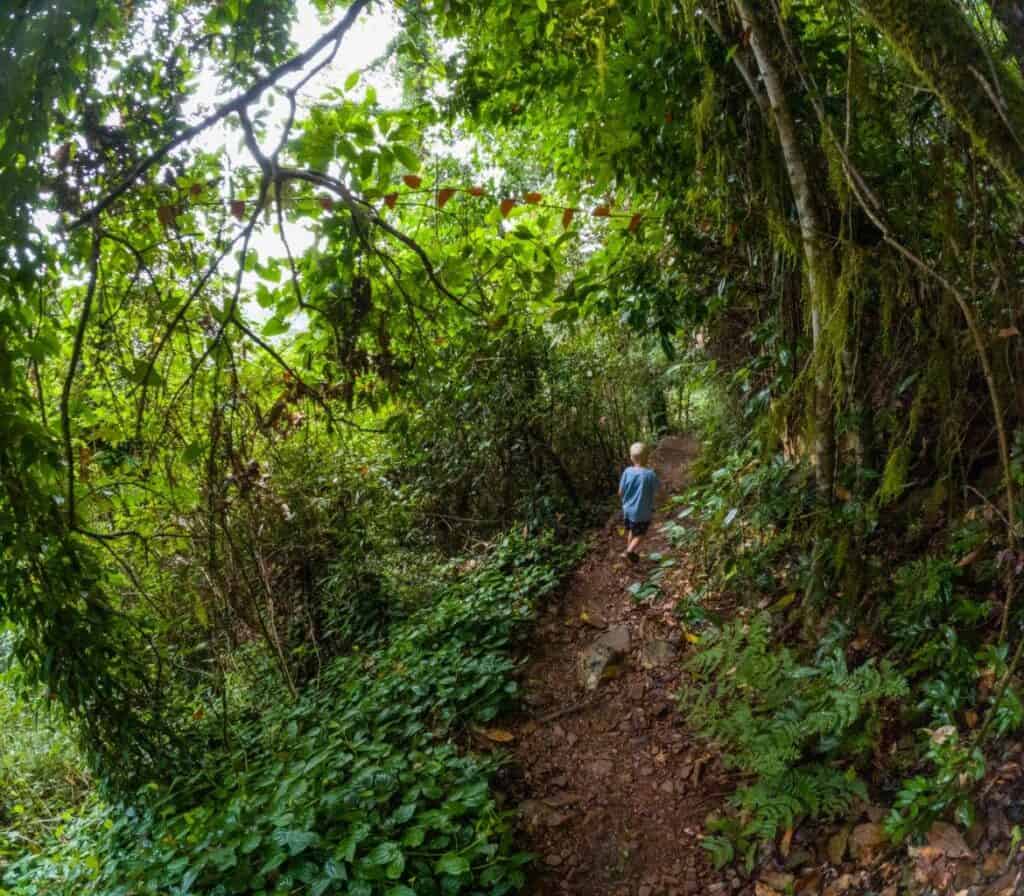 Wallaman Falls; are they as good as they say?