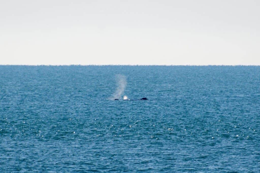 Notch Point; the ultimate QLD Free Camping