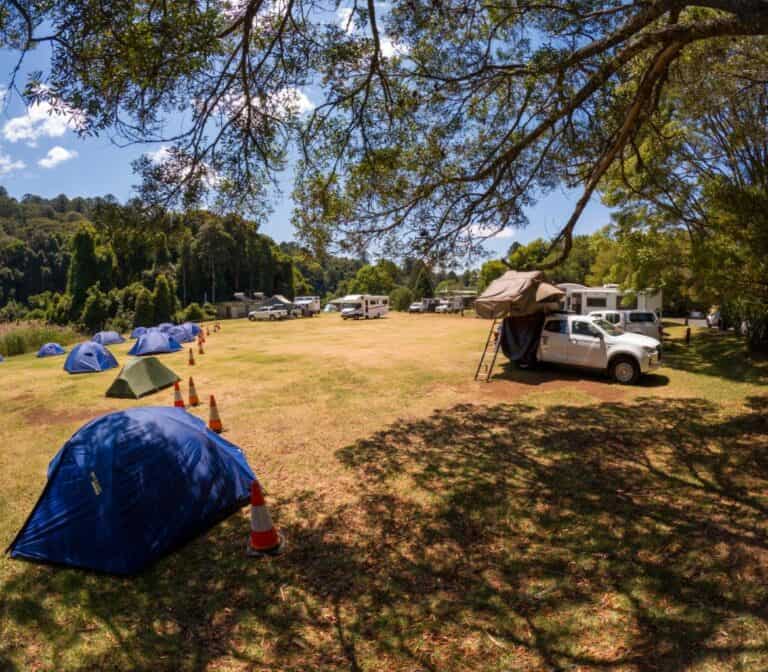 Bunya Mountains Camping