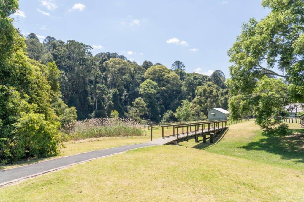 Bunya Mountains Camping