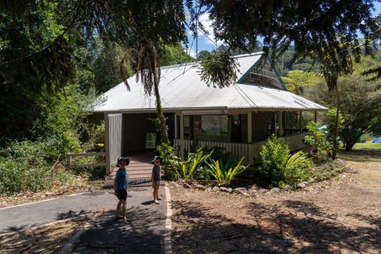Bunya Mountains Camping