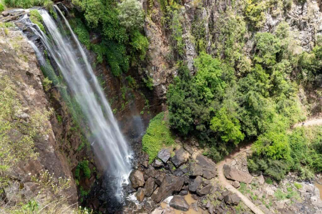 Condamine River Road 4WD Track