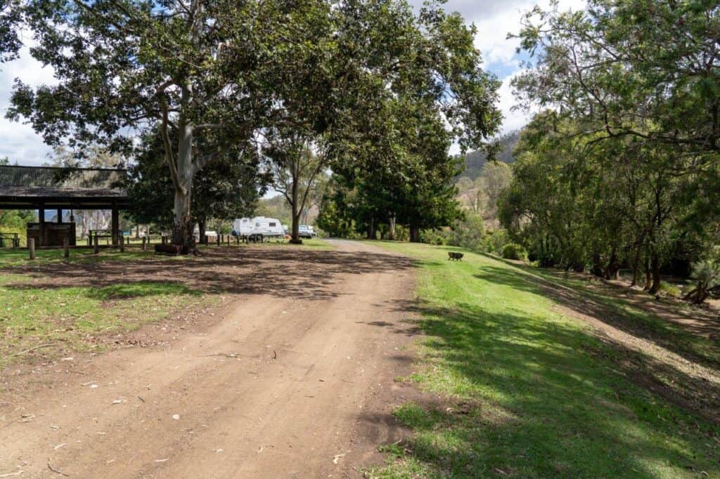 Darlington Park Camping - 4WDing Australia