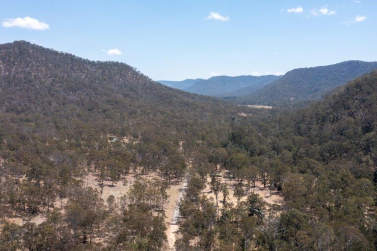 Main Range National Park Camping; Poplar Flat and Manna Gum