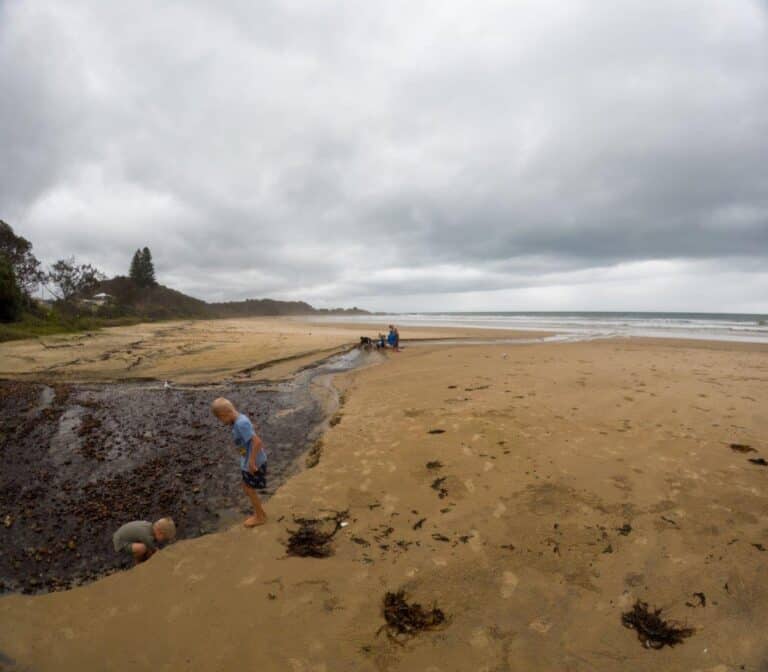 Illaroo Campground - 4WDing Australia