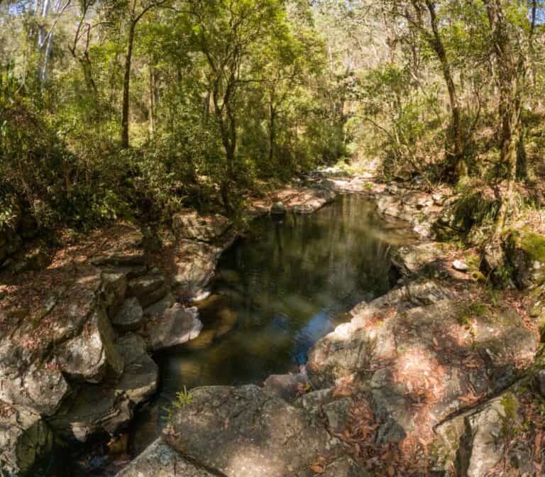 Main Range National Park Camping; Poplar Flat and Manna Gum