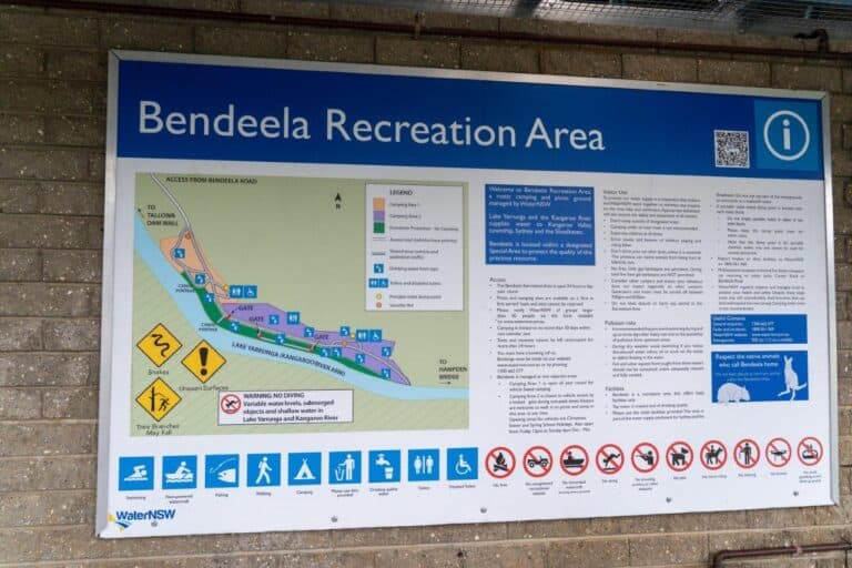 Bendeela Camping; wombats and river front bliss - 4WDing Australia