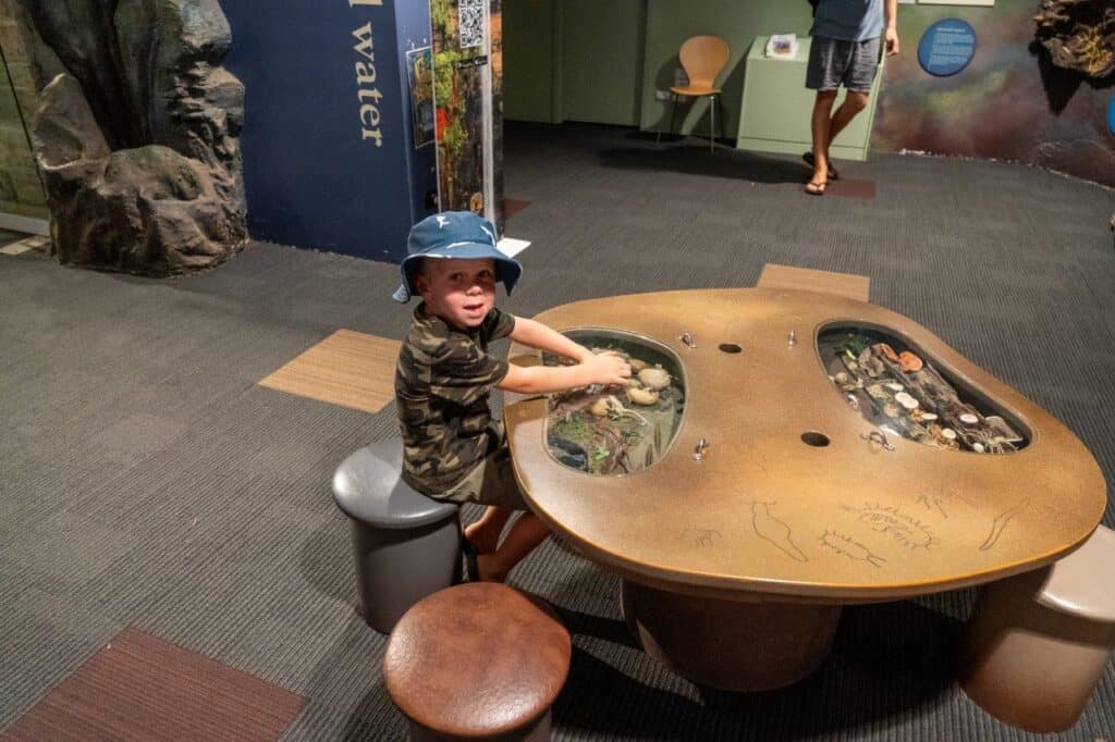 Bendeela Camping; wombats and river front bliss - 4WDing Australia