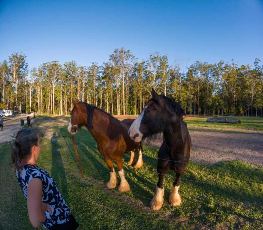 Timbertown; great camping and a family attraction - 4WDing Australia
