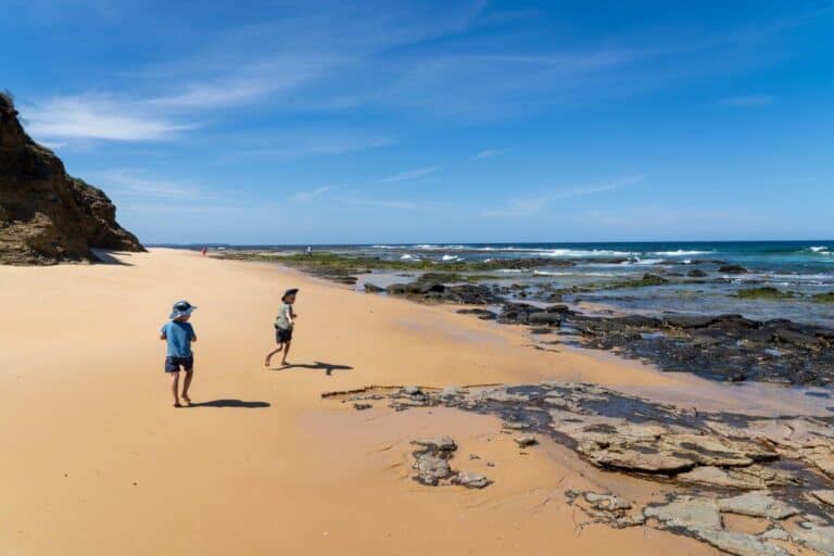 Congo Campground; one of the best NSW coastline options - 4WDing Australia
