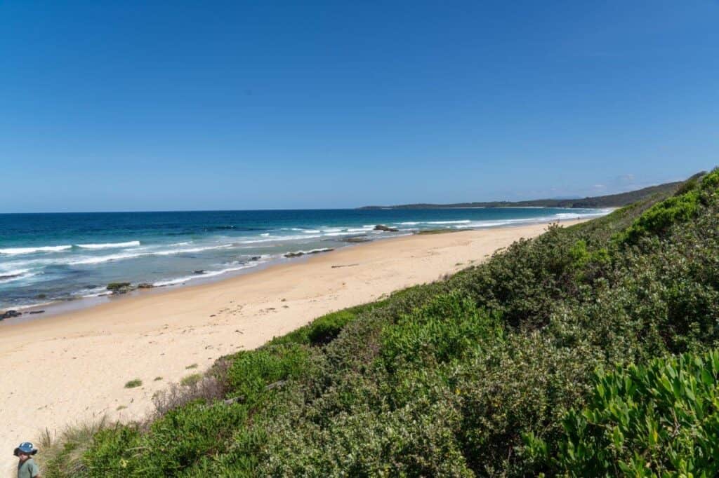 Congo Campground; one of the best NSW coastline options - 4WDing Australia