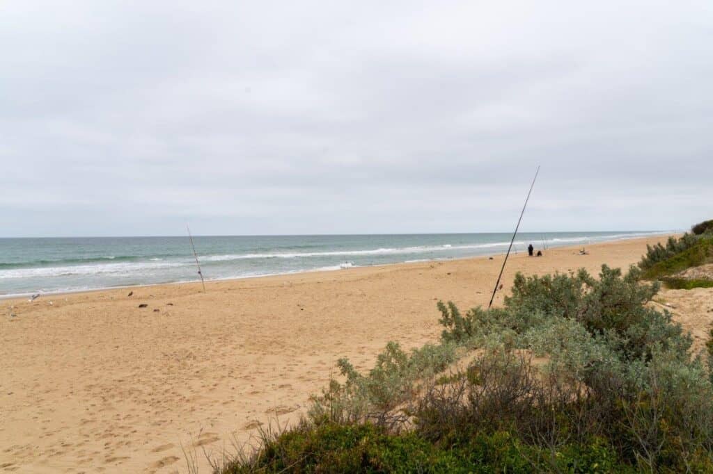 McGaurans Beach; great free camping on grass - 4WDing Australia