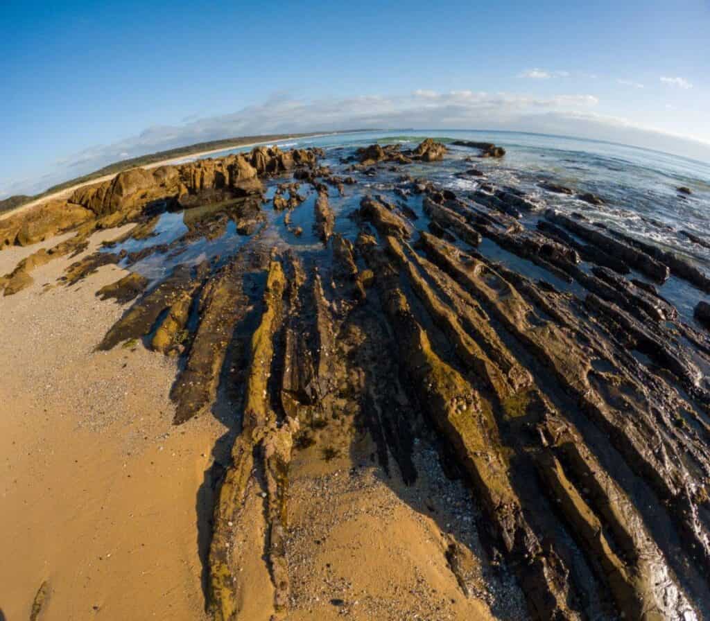 Dalmeny Camping Ground; a brilliant choice for everyone - 4WDing Australia