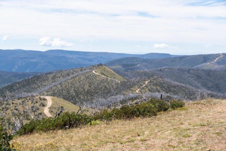 Blue Rag Range Track; insane High Country scenery by 4WD - 4WDing Australia