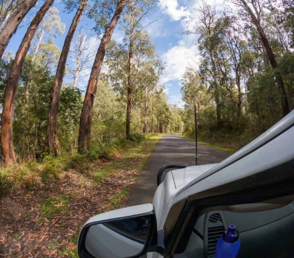 Talbotville; great free camping near Dargo - 4WDing Australia