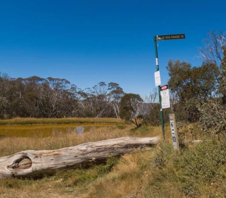 Blue Rag Range Track; insane High Country scenery by 4WD - 4WDing Australia
